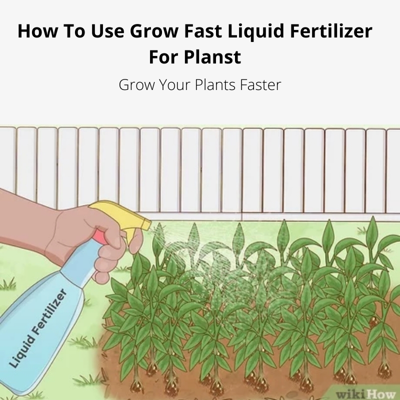 Grow Fast Liquid Fertilizer | Hala Plants | UAE Online Retailer Plants